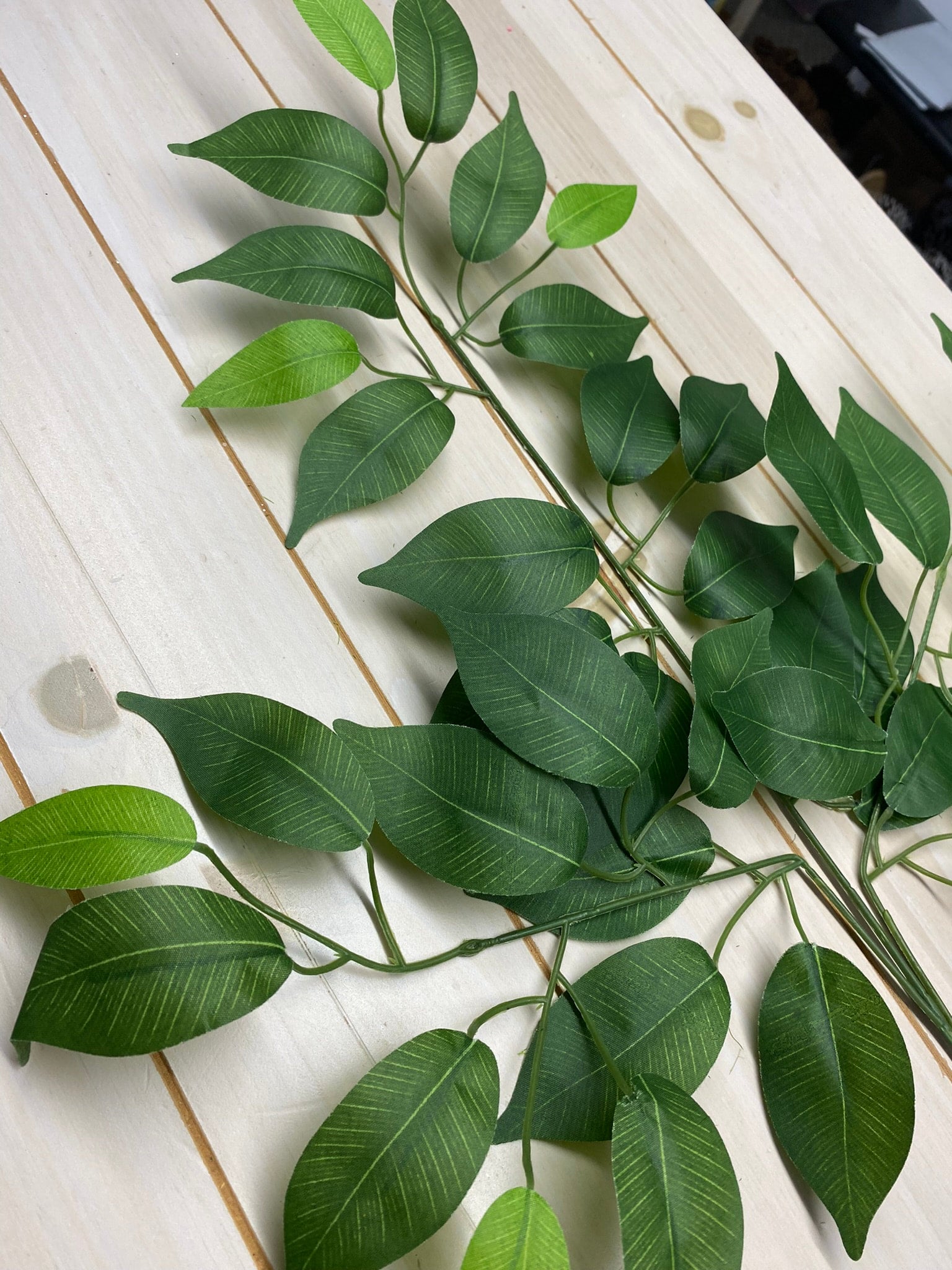 Ficus Spray - Assorted | Burlap & Bows LLC